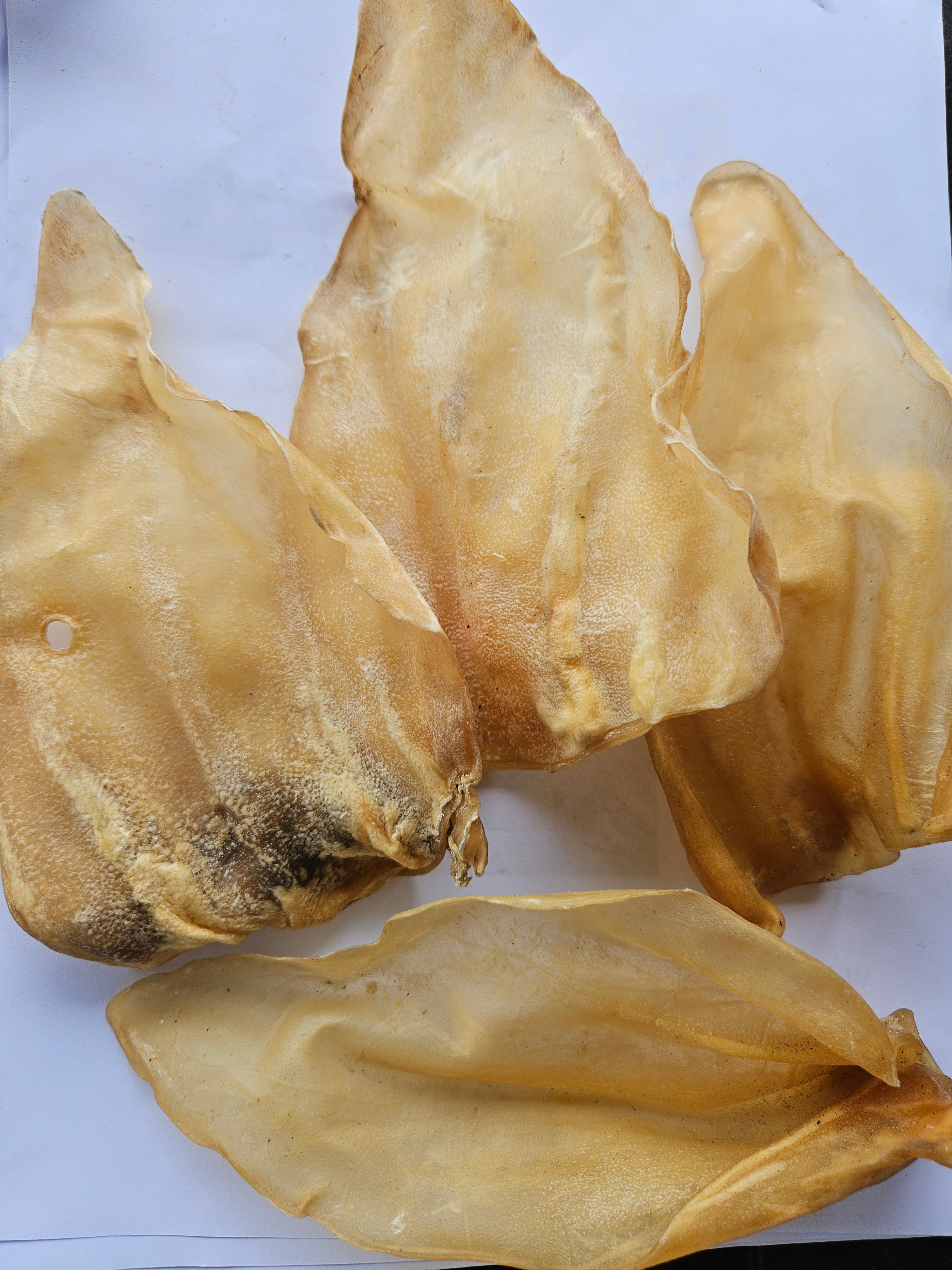 Water Buffalo Ear – Wuuf Dog