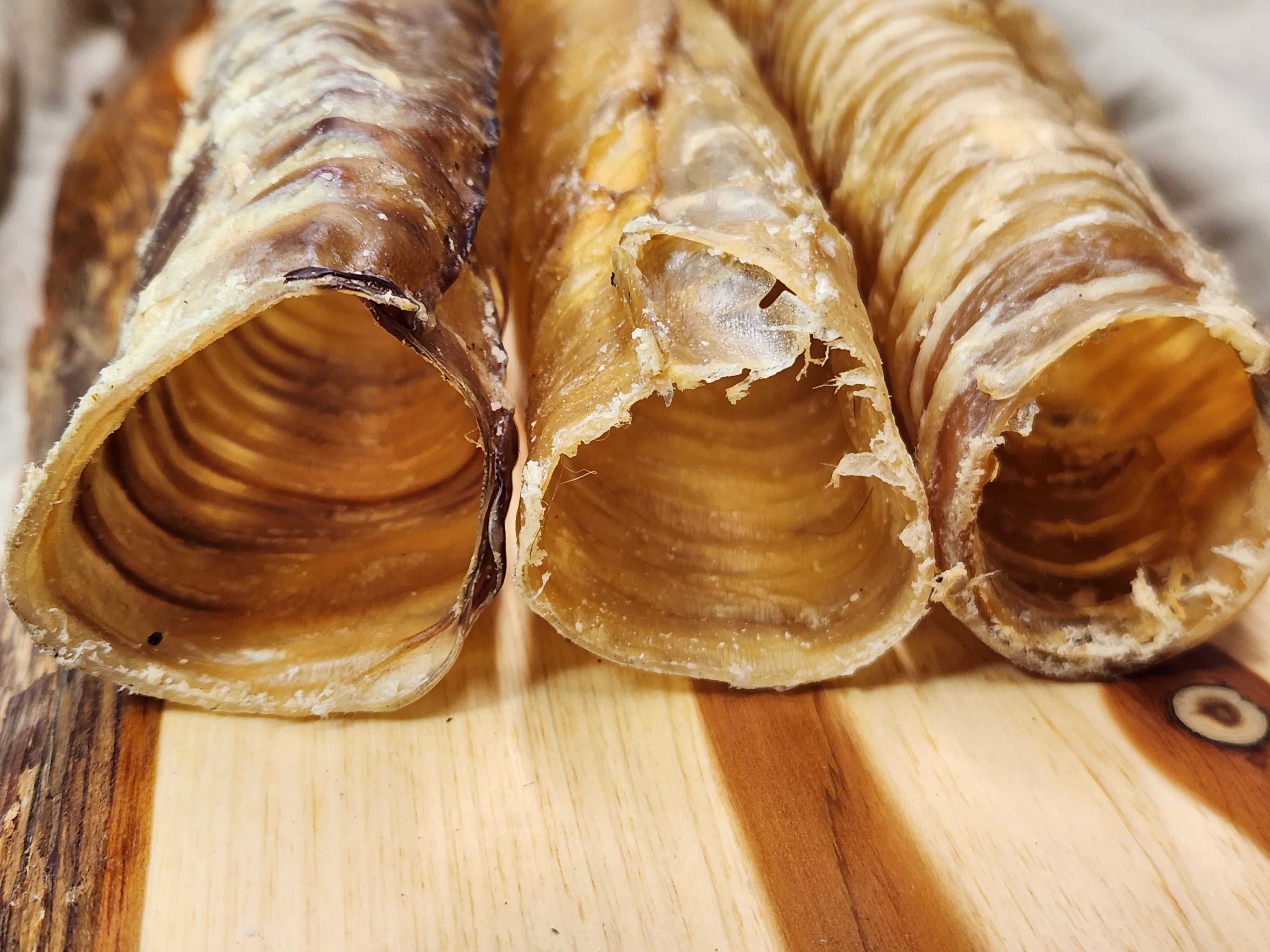 Beef Trachea 10-12 inch – Wuuf Dog