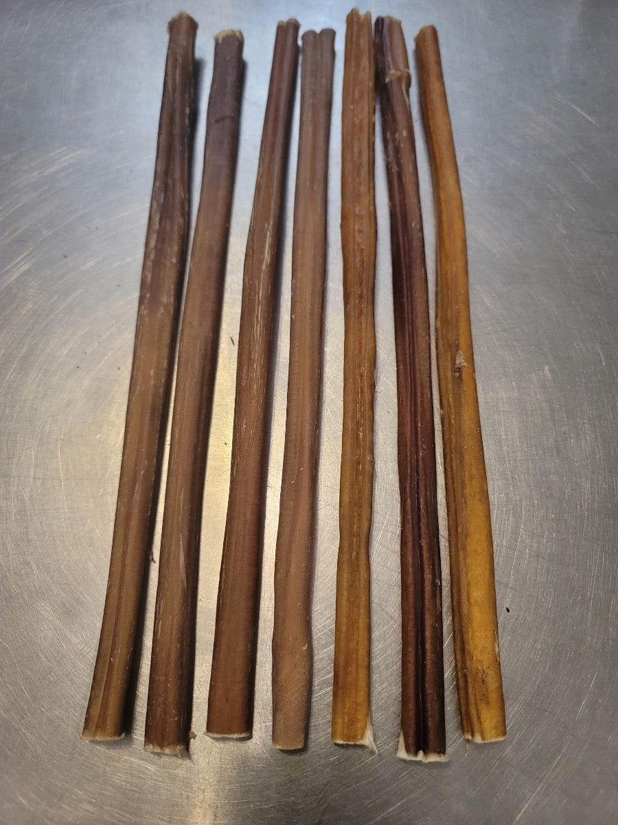 Bully Stick LARGE 12 inch – Wuuf Dog